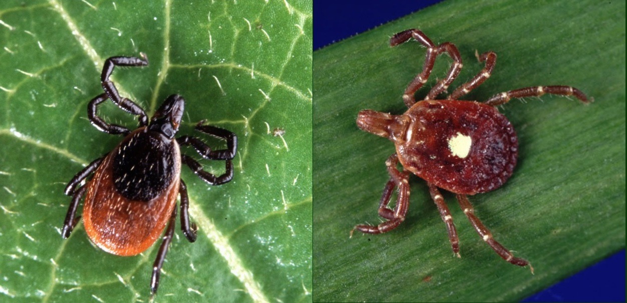 Wintonbury Land Trust - Wintonbury Land Trust